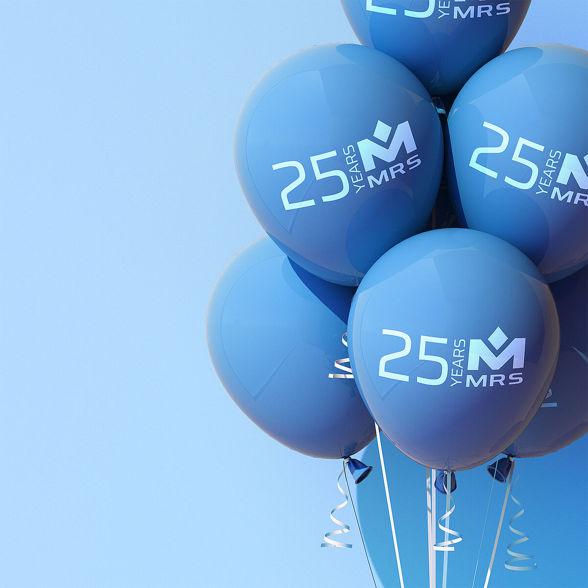 25 years of MRS Electronic